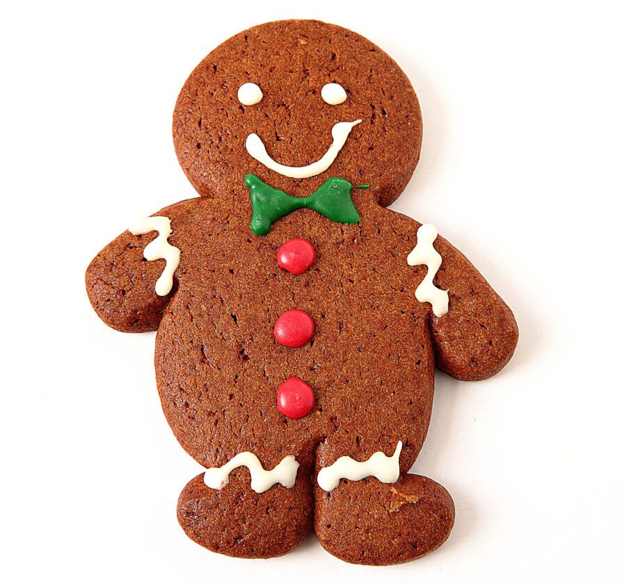 Decorate Christmas cookies at Edison and Ford Winter Estates | News ...